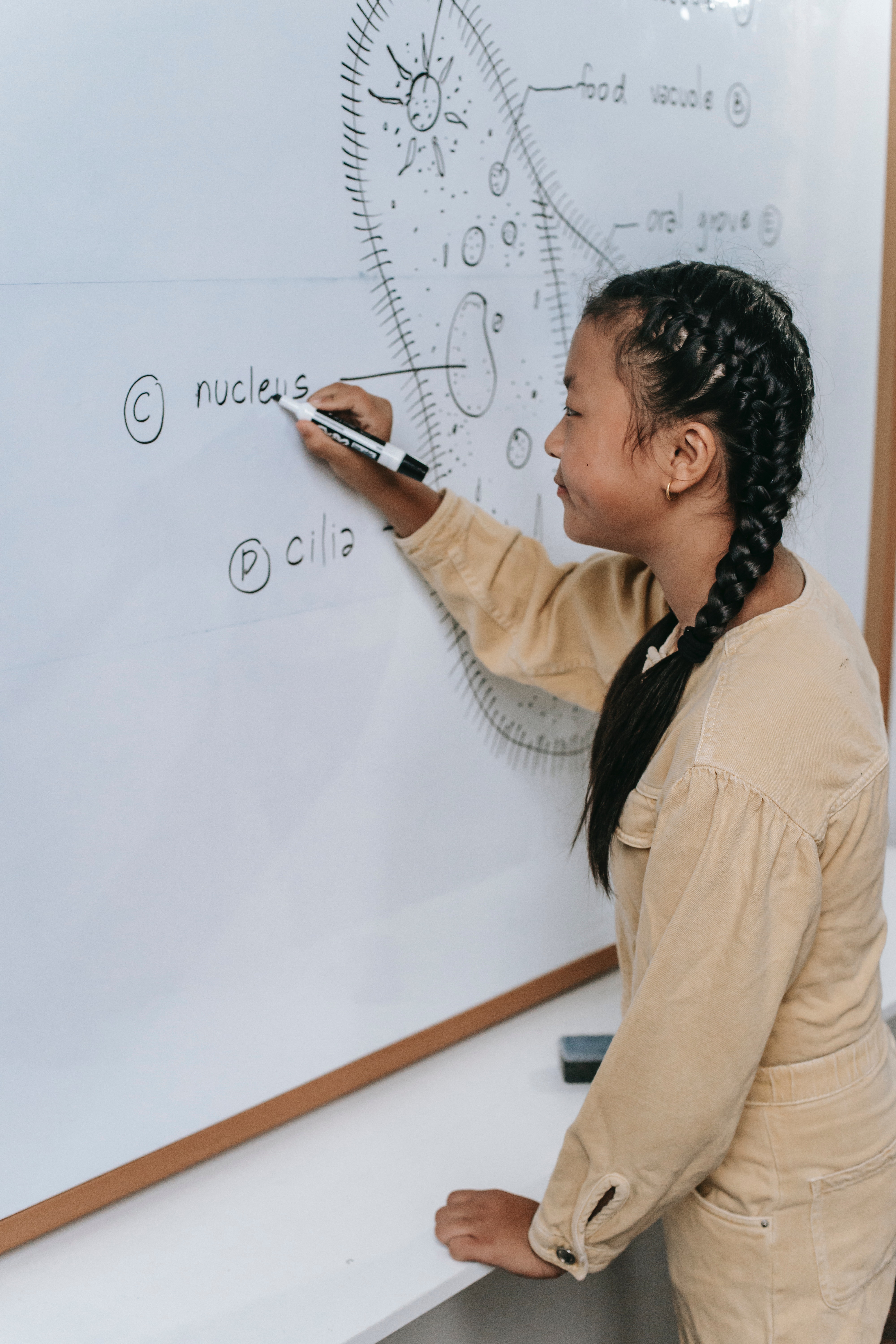 All You Need To Know About PSLE Science In Singapore